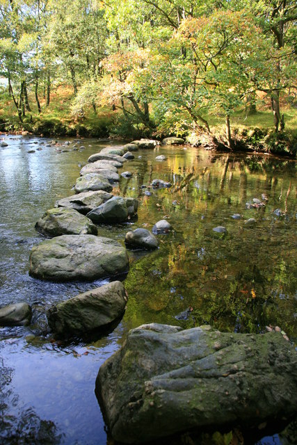 Valley Poem – Wood Bee Poet