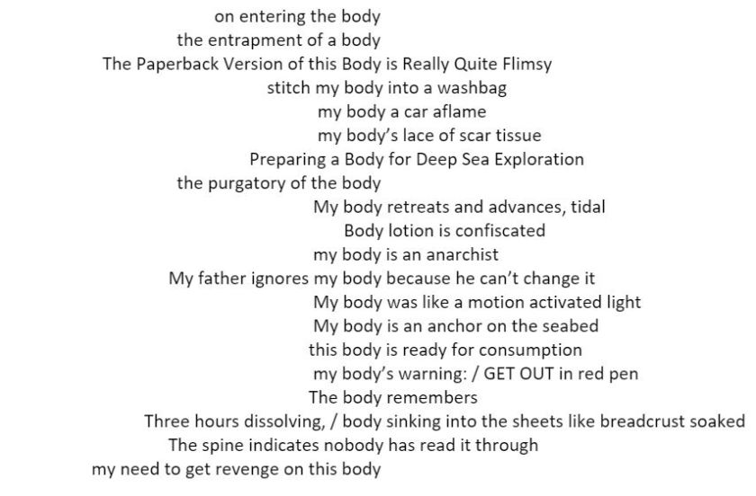 The Body as Anarchist and Anchor – Wood Bee Poet